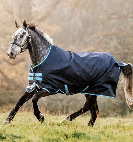 Amigo® Bravo 12 Original Turnout | 100g Light – The Equestrian Shop