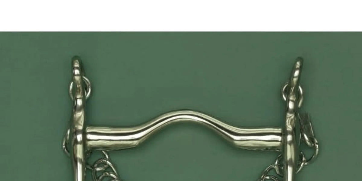 German Silver Wide Port Weymouth Bit – The Equestrian Shop