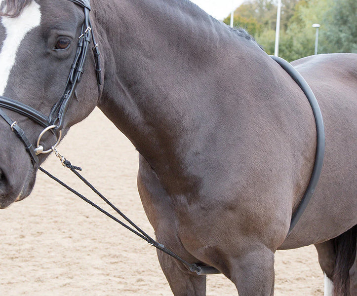 Soft Lunging Aid – The Equestrian Shop