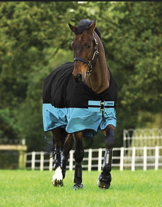 Mio® Turnout Blanket | 200g – The Equestrian Shop