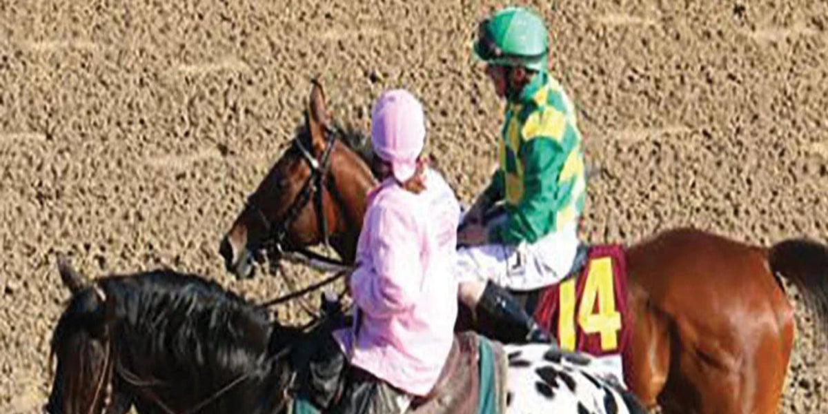 Breyer | Harley | Famous Racehorse Pony – The Equestrian Shop