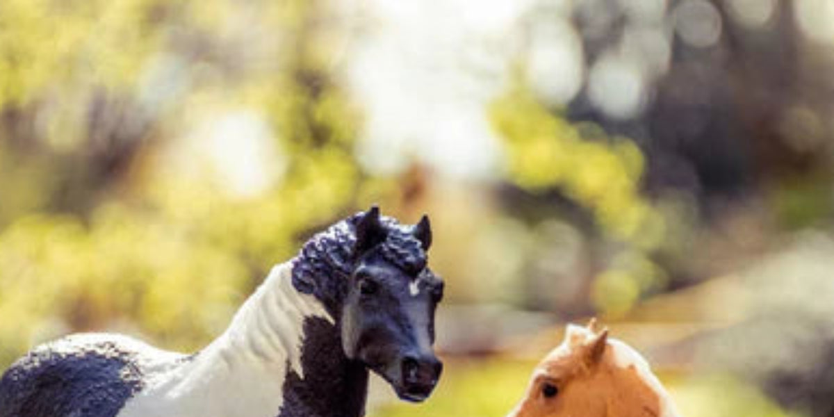Breyer | The Phantom & Misty Gift Set – The Equestrian Shop