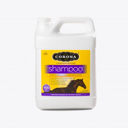 Corona Concentrated Shampoo – The Equestrian Shop