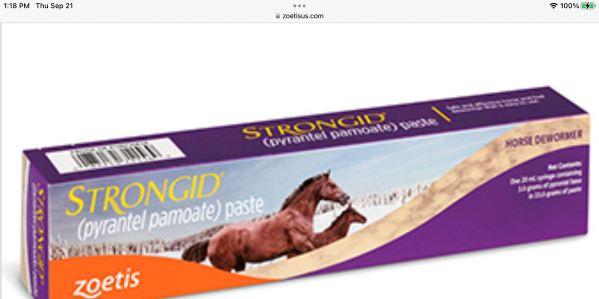 STRONGID (pyrantel pamote) paste – The Equestrian Shop