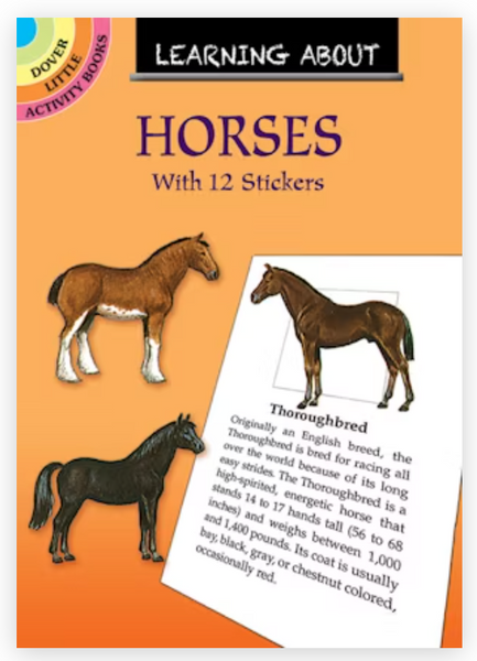 Learning about Horses – The Equestrian Shop