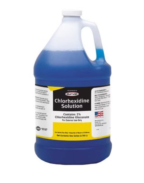 Chlorhexidine Gluconate 2% Solution – The Equestrian Shop