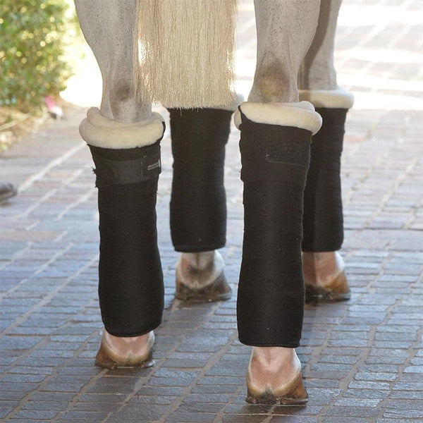 SheepsWool™ T-Foam™ Standing Wraps – The Equestrian Shop