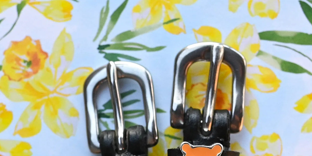 Bear Spur Straps – The Equestrian Shop