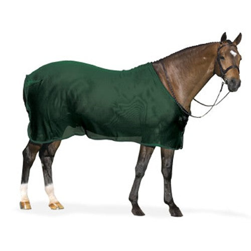 Centaur Show Scrim Dress Sheet – The Equestrian Shop
